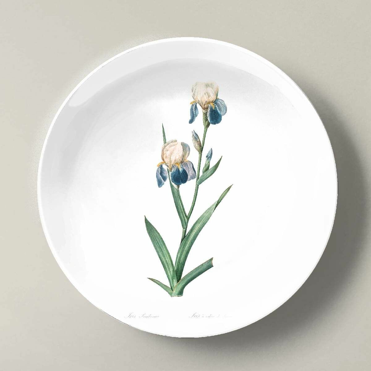 Декоративная тарелка с подвесом Диаметр: 200мм Ирис Sambucina