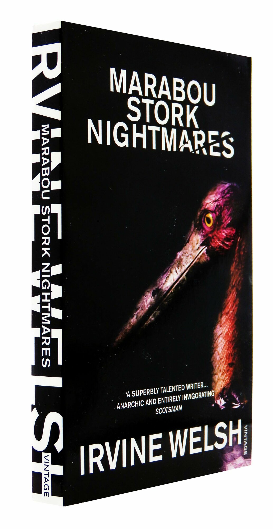Marabou Stork Nightmares — фото 1