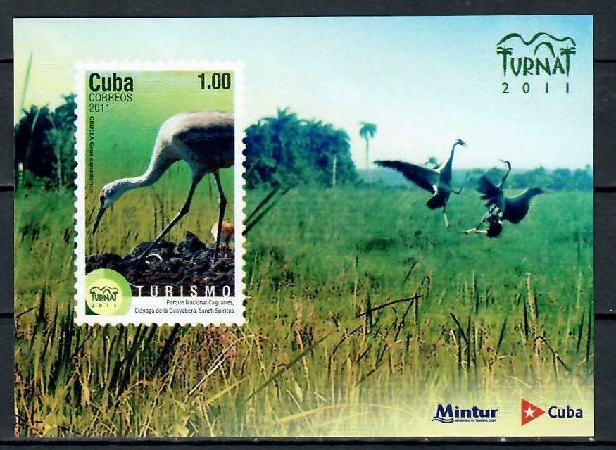 Почтовые марки Куба 2011г. "Птицы - Турнат" Птицы MNH
