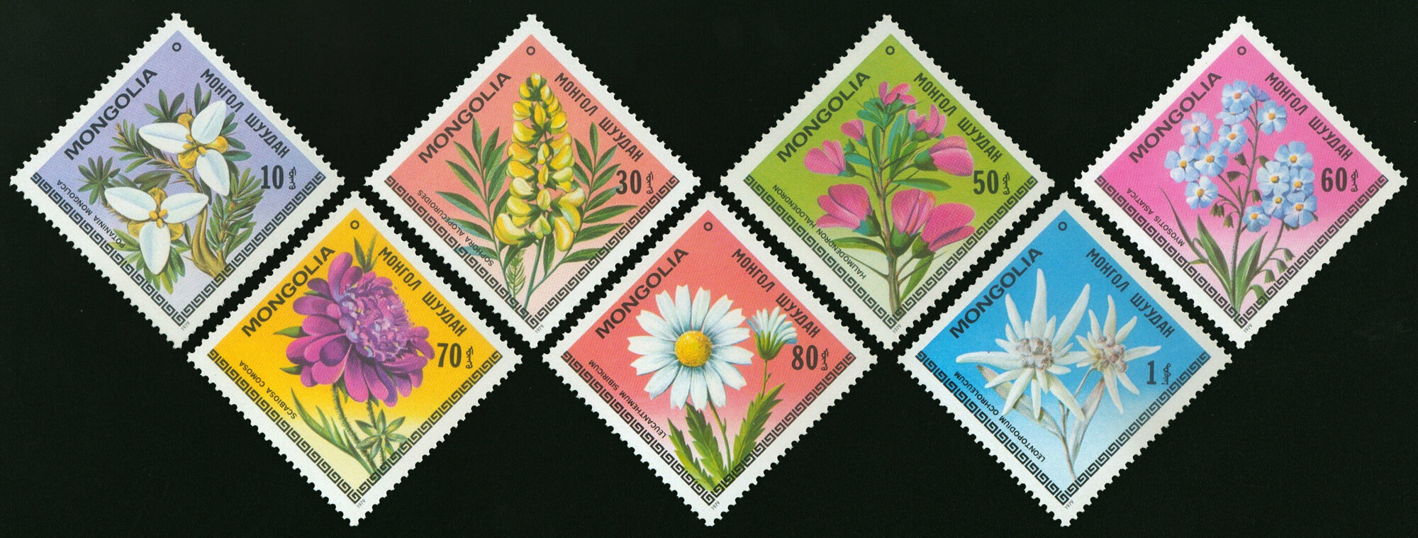 Почтовые марки Монголия 1979г. "Цветы Монголии" Цветы MNH