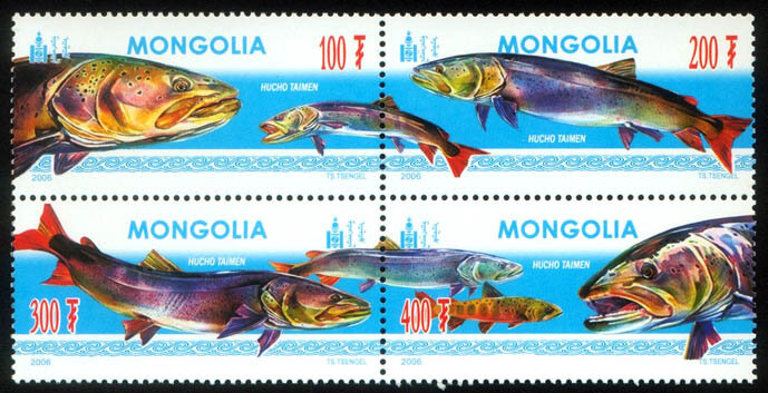 Почтовые марки Монголия 2006г. "Рыбы" Рыбы MNH