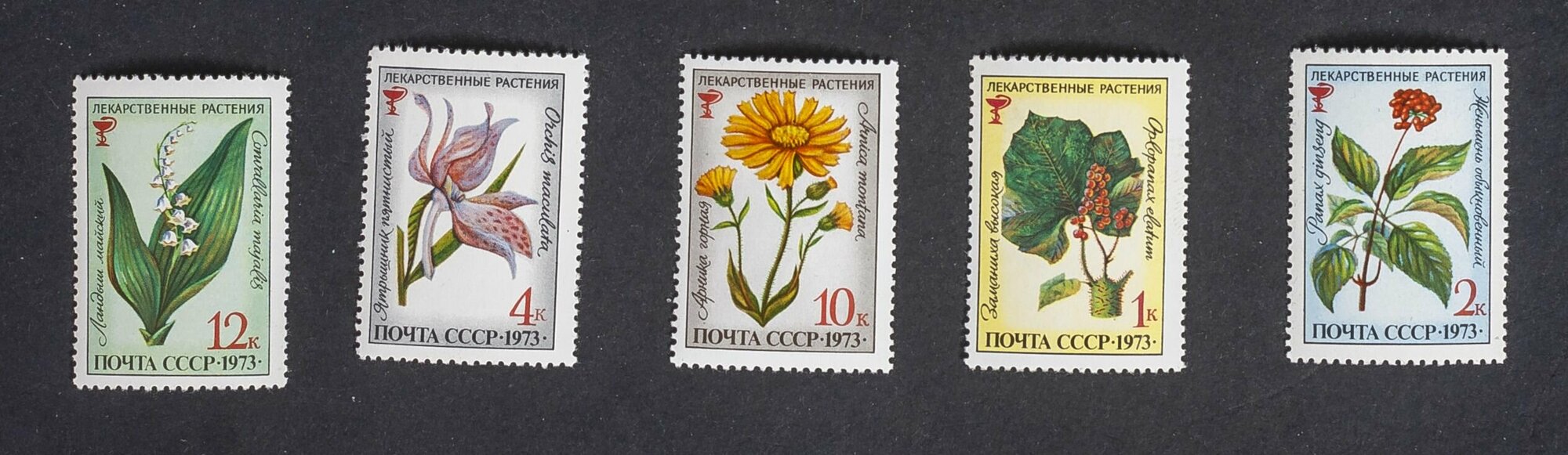 СССР 1973 Лекарственные растения.