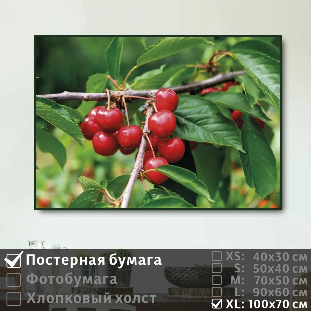 Постер на стену Летняя Ветка Вишни 100х70 см ПолиЦентр