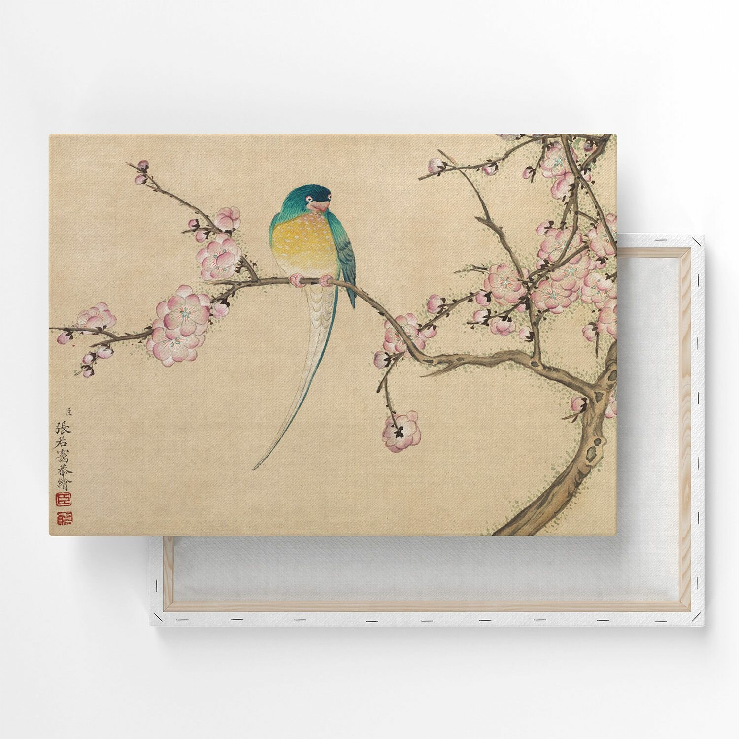 Картина на холсте, репродукция / Чжан Руоай - Bird with Plum Blossoms / Размер 80 x 106 см