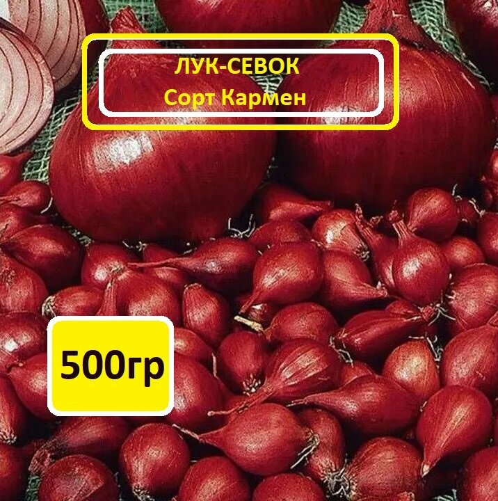 Лук ледокол описание сорта фото отзывы — купить по низкой цене на ...