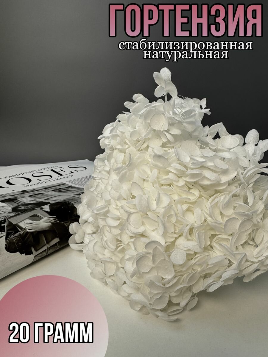 Сухоцветы для декора Гортензия стабилизированная 20 г