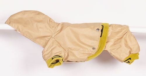 Костюм "Блестящий" №2 для мелких пород на байке, цвет бежевый