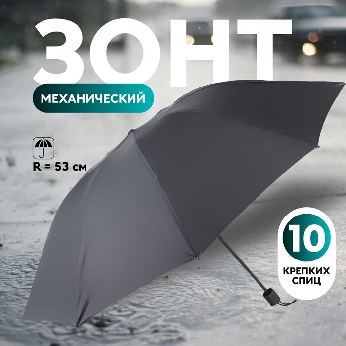 Зонты
