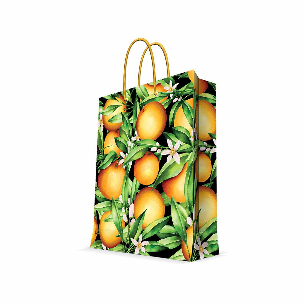 Феникс-Презент Бумажный пакет с ламинацией 9.8 х 17.8 х 22.9 см, глянцевый