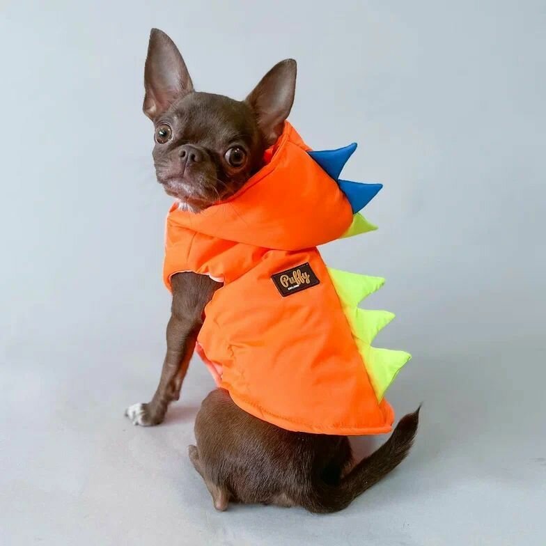 Жилет куртка для собак мелких пород на шёлке