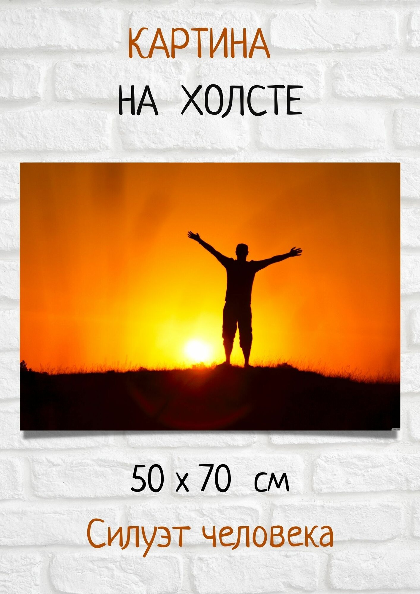 Картина холст с силуэтом свободного человека