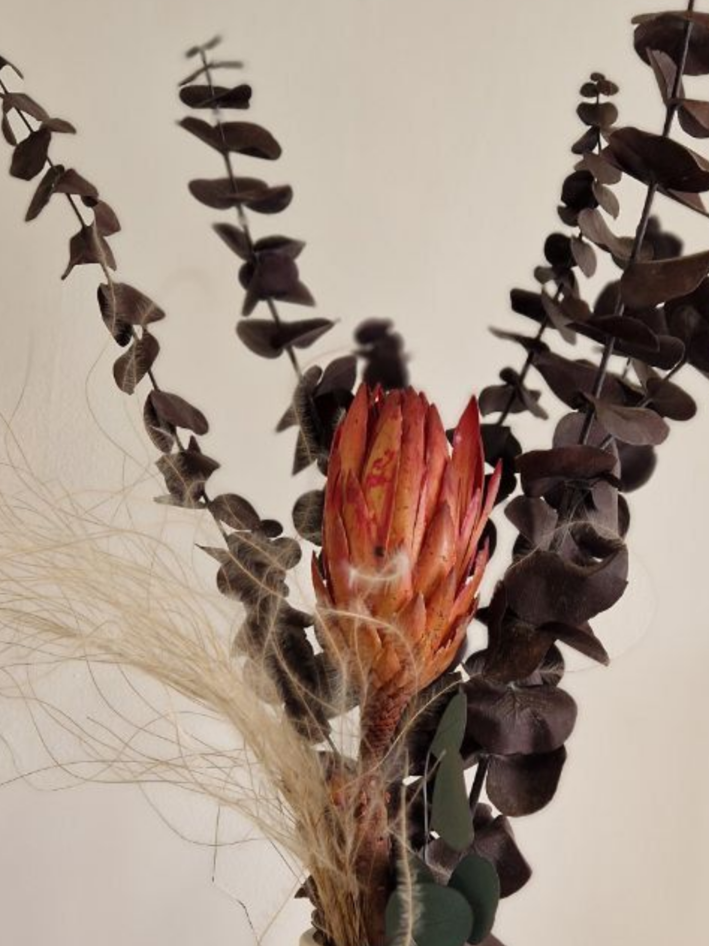 Букет StabFlora "Протея и Эвкалипт", стабилизированные растения, 49 см