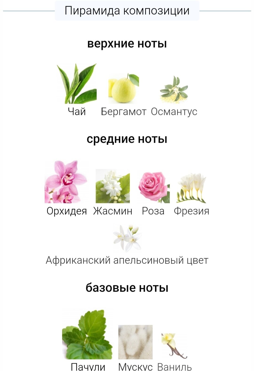 Духи ручной работы по мотивам 'Flowerbomb', для женщин Lu Parfume — фото 1