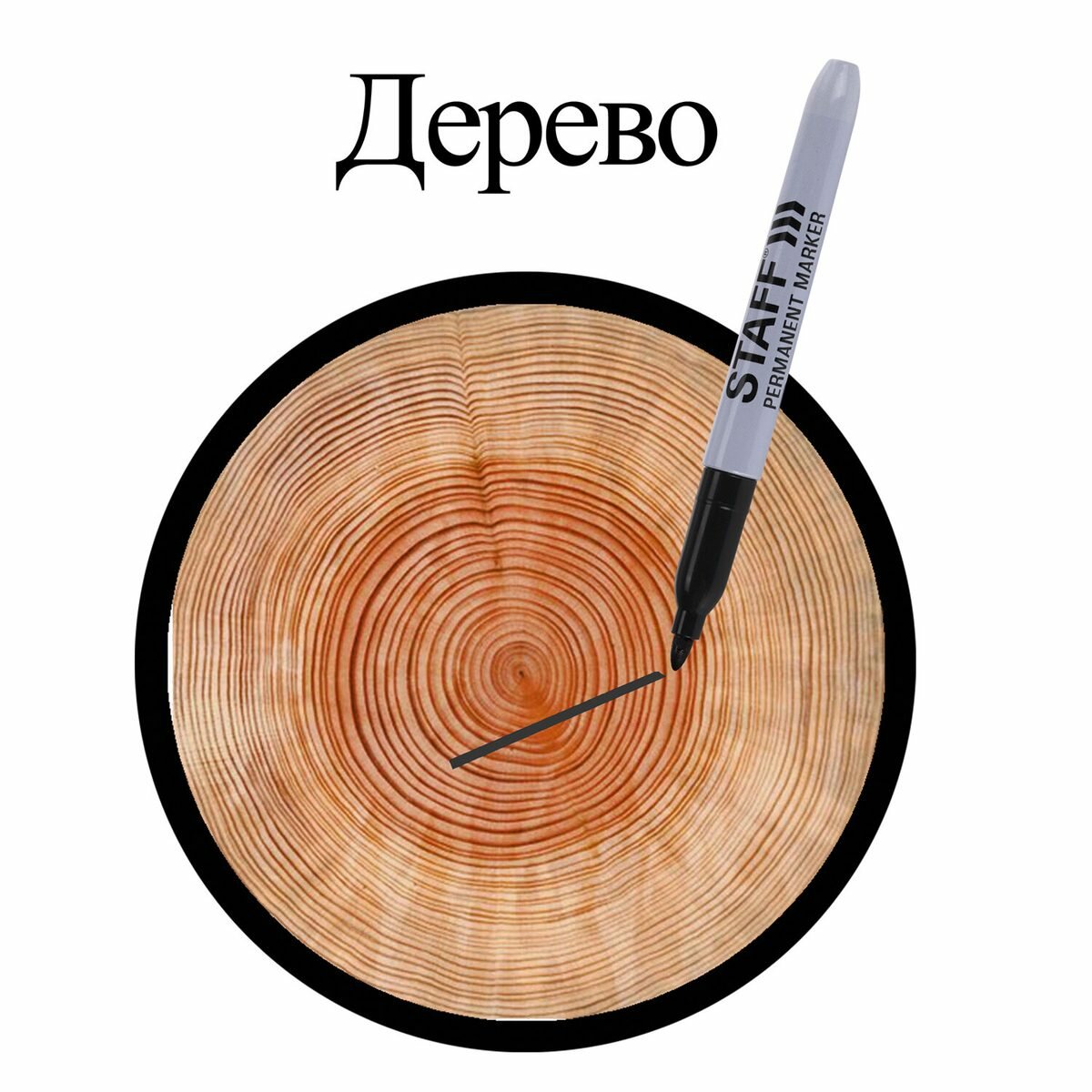 Набор перманентных маркеров Staff (2-4мм, круглый наконечник, синий/черный/красный/зеленый) 4шт. (151237), 24 уп.