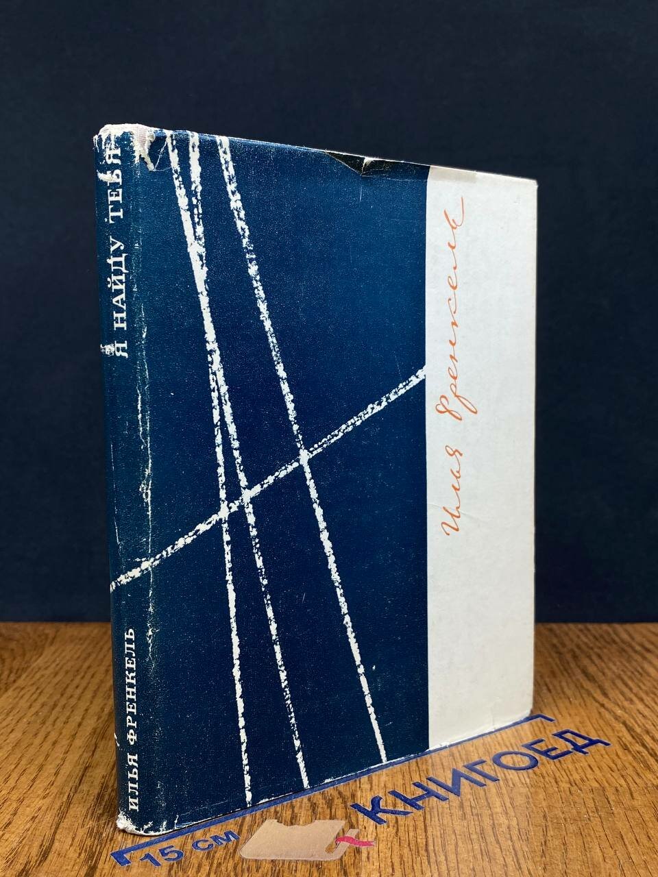 Книга. Я найду тебя 1966 (2042506558058)