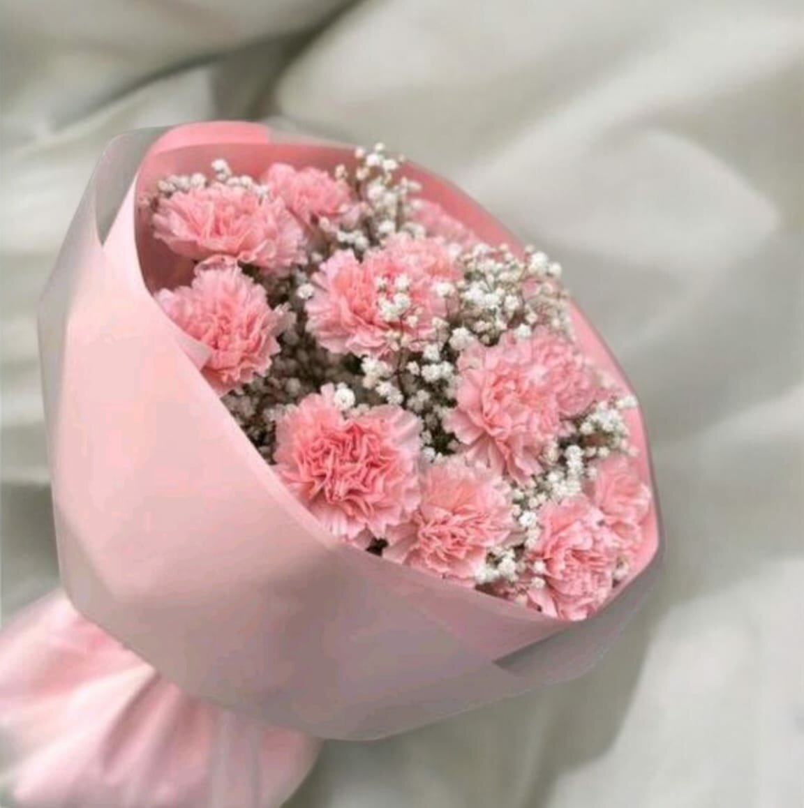 Диантус розовый 13, гипсофила 3