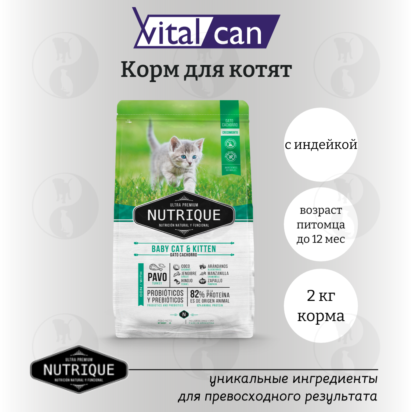 Vitalcan сухой корм Nutrique Cat Kitten для котят всех пород с индейкой, 2 кг
