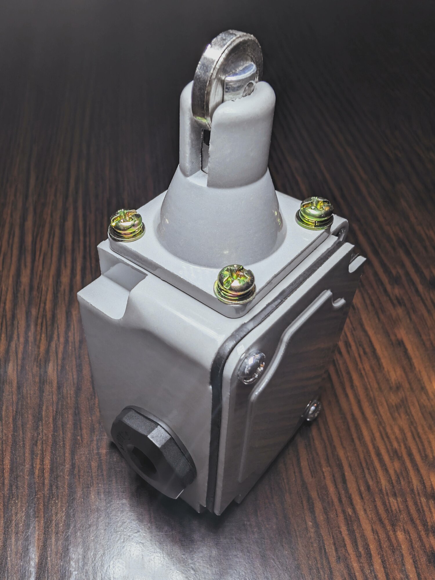 Выключатель путевой контактный ВПК-2111-БУ2 (концевой толкатель с роликом) IP67