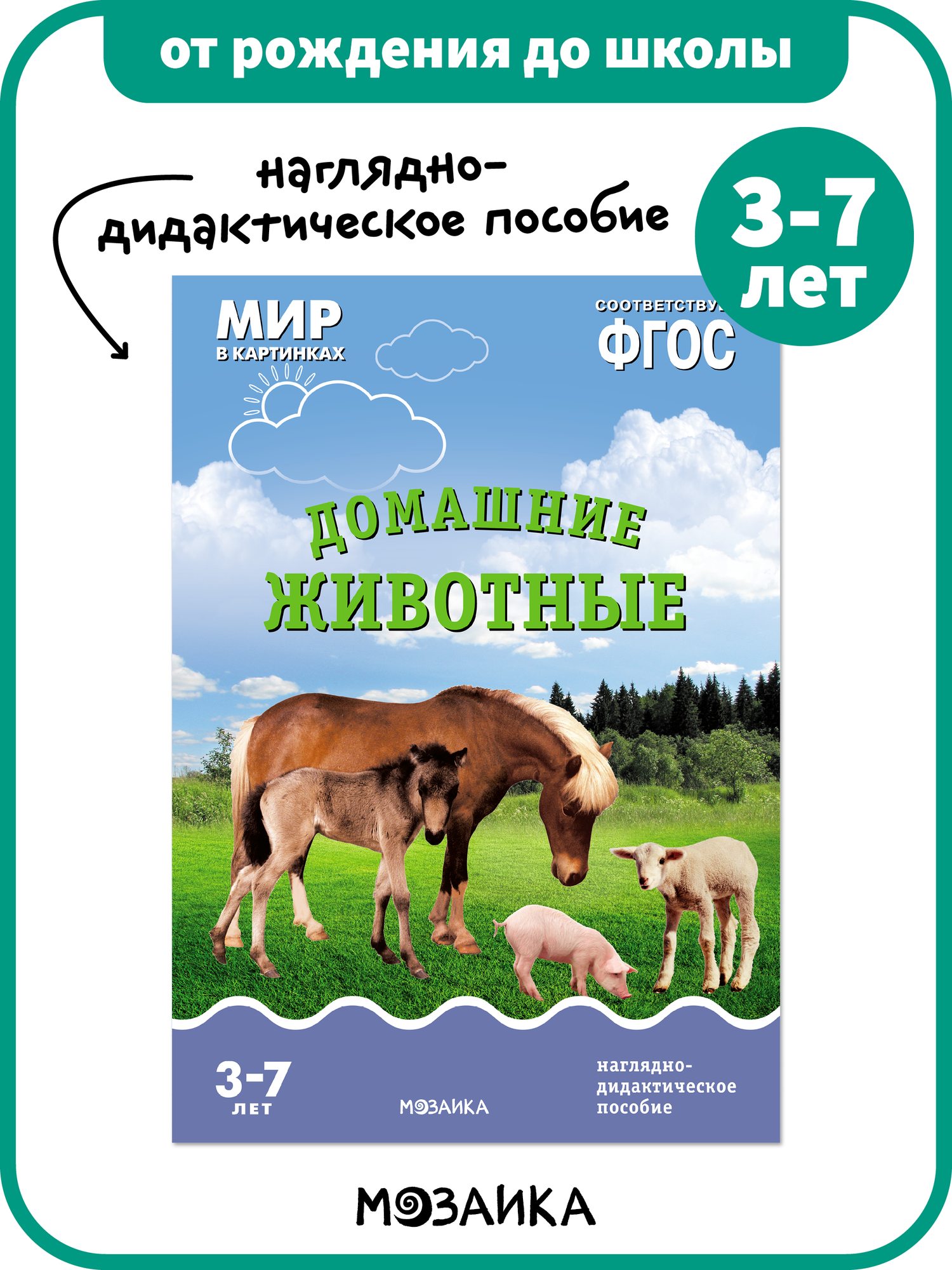 Наглядно-дидактическое пособие в папке от рождения до школы для детей 3-7 лет, Мир в картинках, Домашние животные, ФГОС