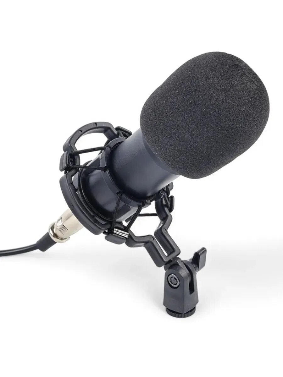 Микрофон студийный конденсаторный профессиональный