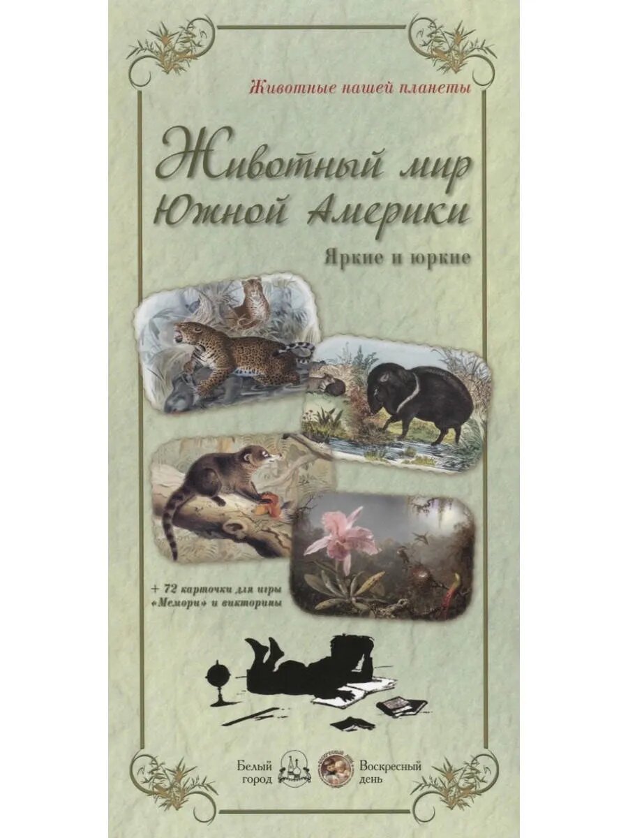 Животный мир Южной Америки. Яркие и юркие