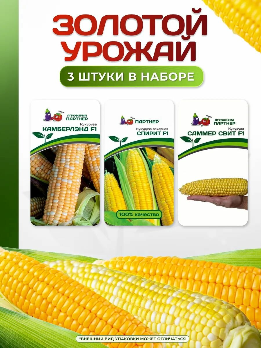 Семена набор: Золотой урожай - семена кукурузы Камберлэнд, Саммер Свит, Спирит