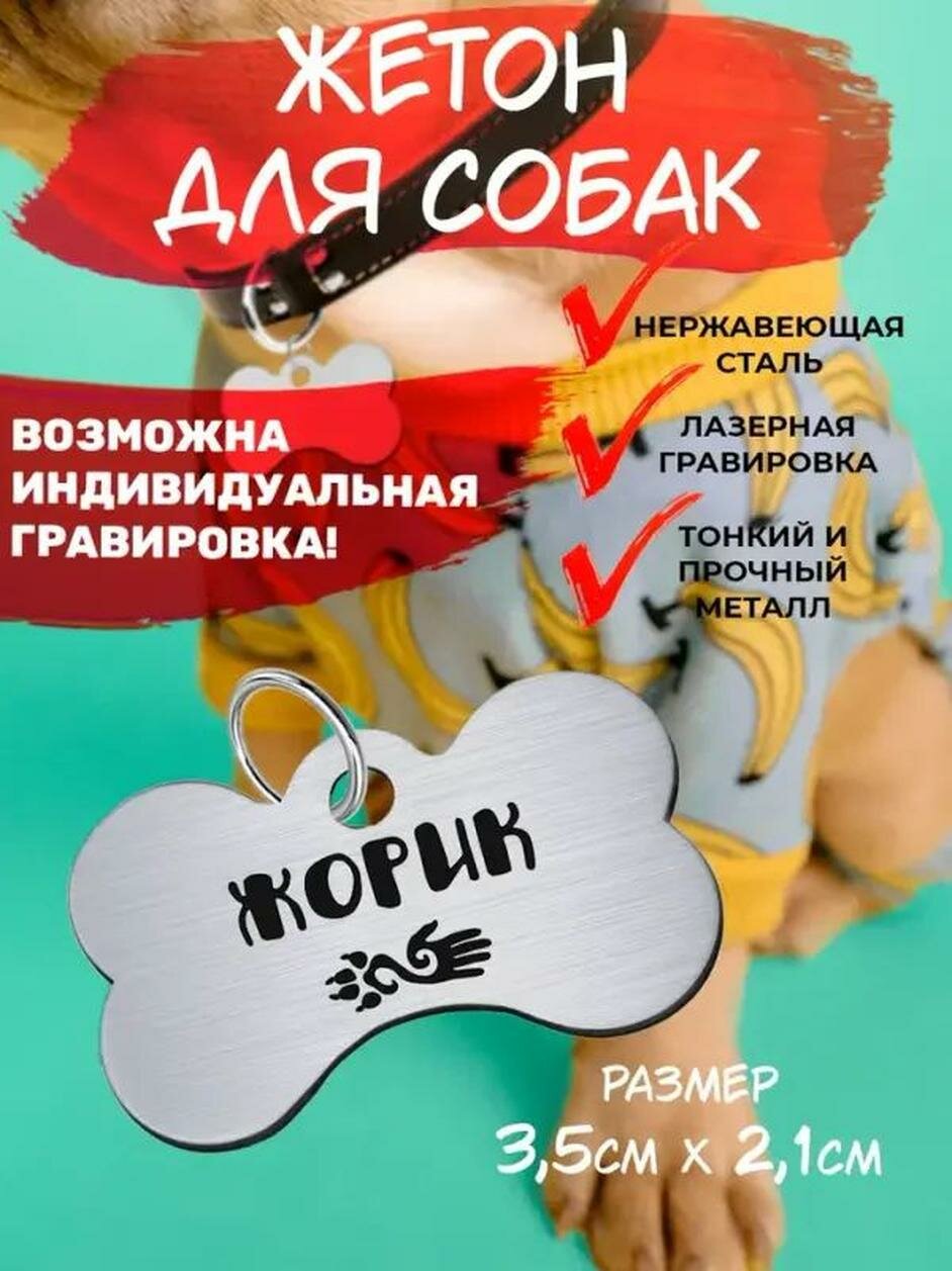 Адресник для собаки с гравировкой, нерж. сталь, серебристый, Жорик
