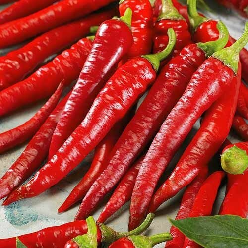 Коллекционные семена перца острого Щучий хвост