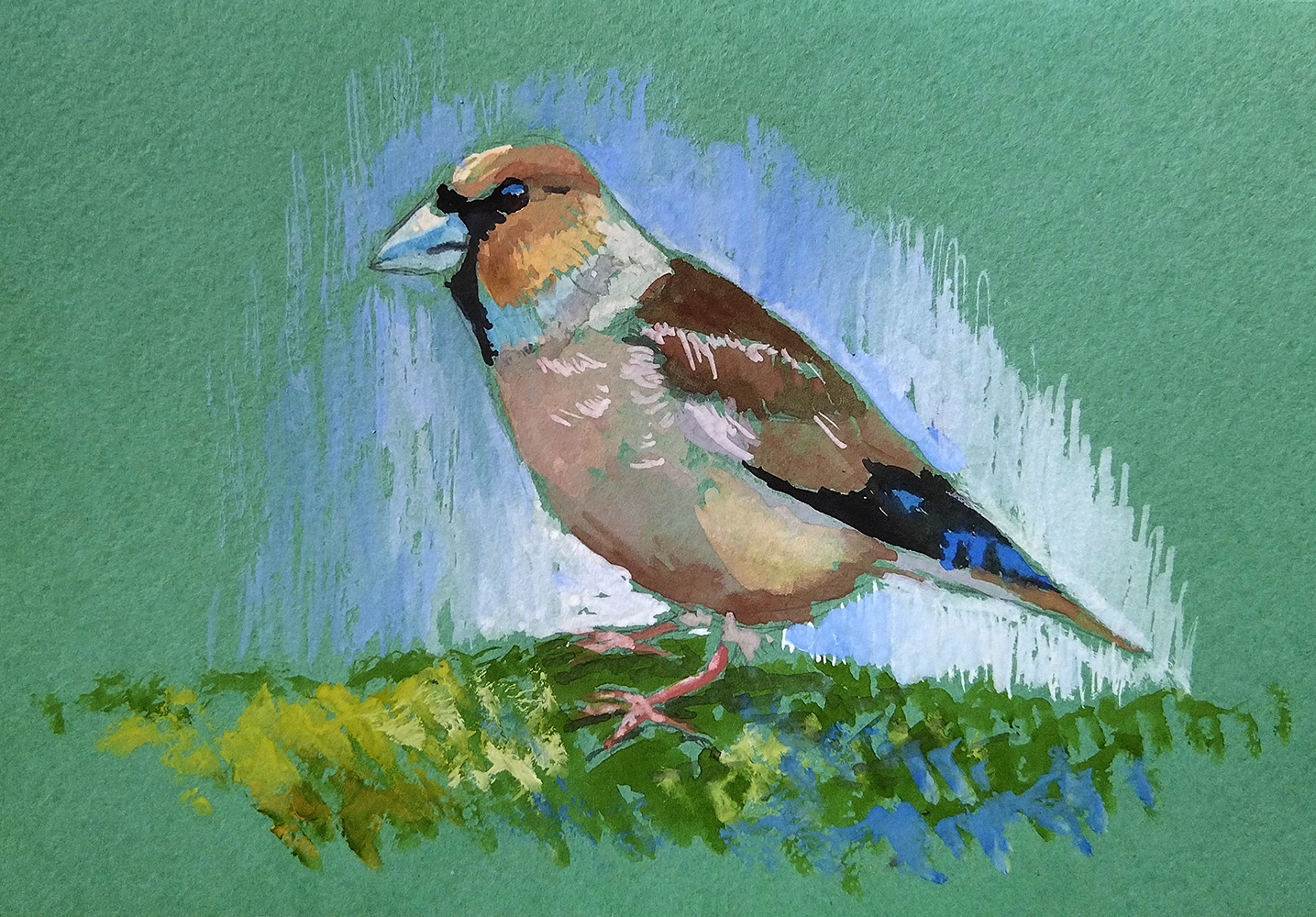 Картина гуашью "Птица Дубонос"