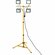 Прожектор на штативе FERON 4*50W 6400К 220V черный IP65, LL-506 48507