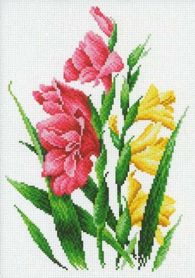 Канва с рисунком для вышивания М. П. Студия СК-088 Нежный гладиолус, 20 x 30 см (Нитки в в комплект не входят.)