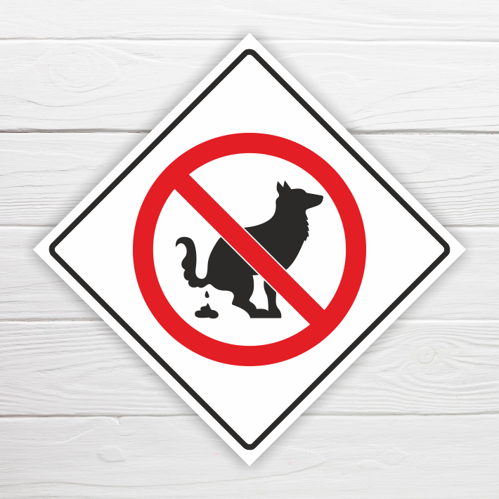 Табличка "Не выгуливать собак", 45х45 см, ПВХ