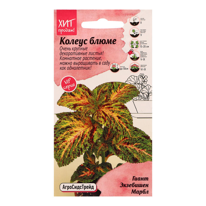 Семена цветов Колеус блюме "Гиант Экзебишен Марбл", 10 шт ( 1 упаковка )