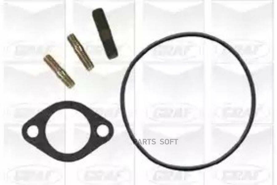 GRAF PA454 Помпа водяная Fiat Ducato Td ()