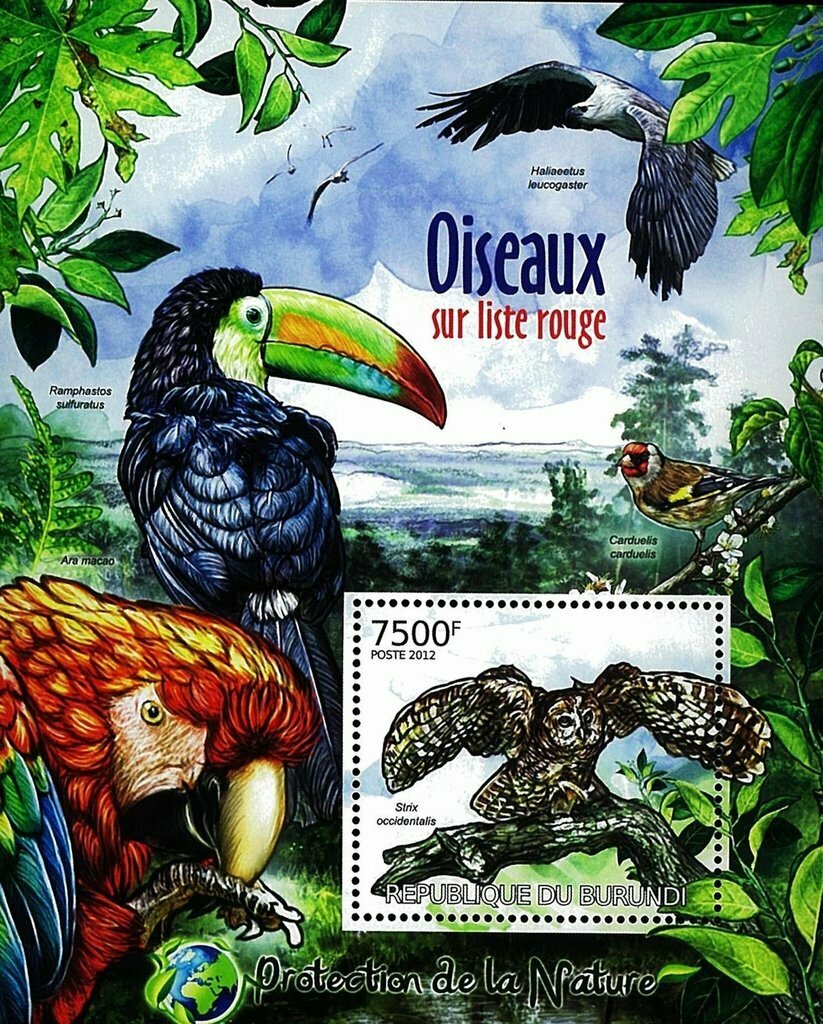Почтовые марки Бурунди 2012г. "Охрана природы - Птицы из красной книги" Шимпанзе, Обезьяны, Фауна MNH