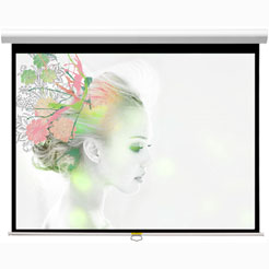 Настенный Premier Orion II (4:3) 244х244 (W 234х176/3 МW-FC/W)- Проекторы (экраны)