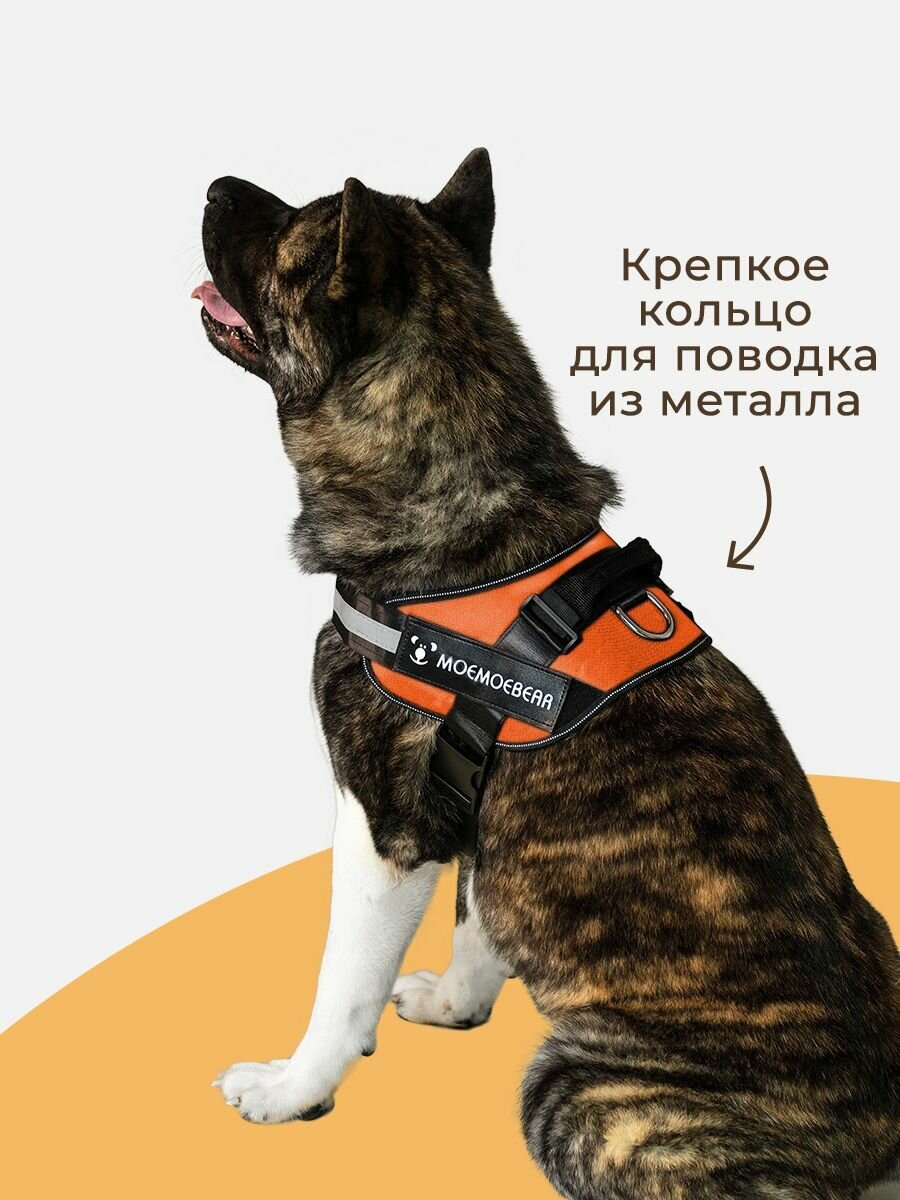 Шлейка — фото 1