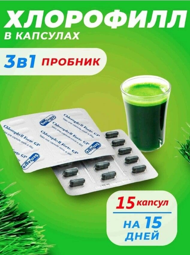 Chlorophyll Forte Santegra(Сантегра), Хлорофилл Форте, природный антисептик, улучшает пищеварение, укрепит иммунитет, жидкий хлорофилл в капсулах 50 мг, 15 капсул на 15 дней