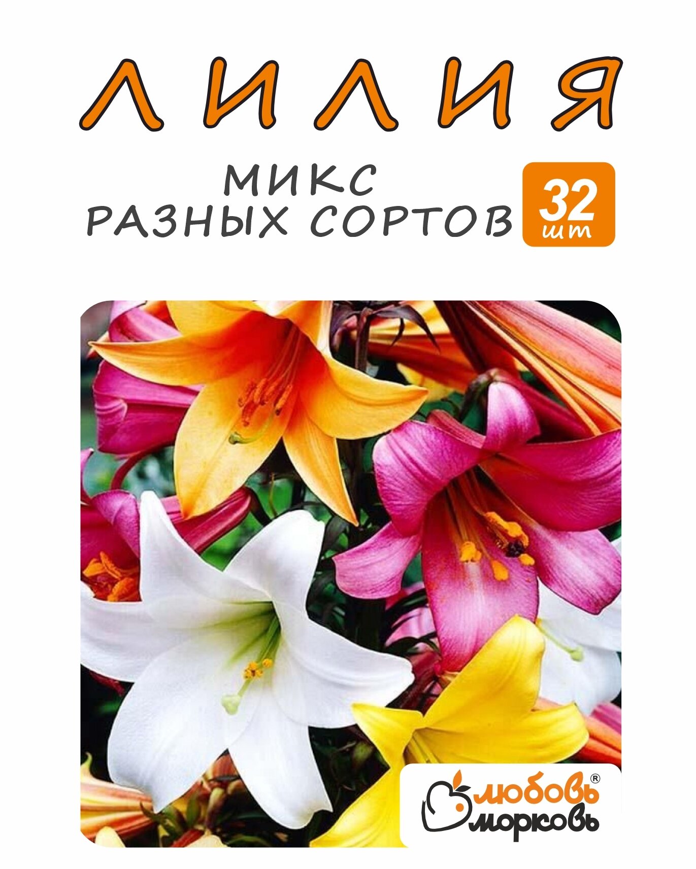 Лилия Луковица, Микс разные, 32шт (1)