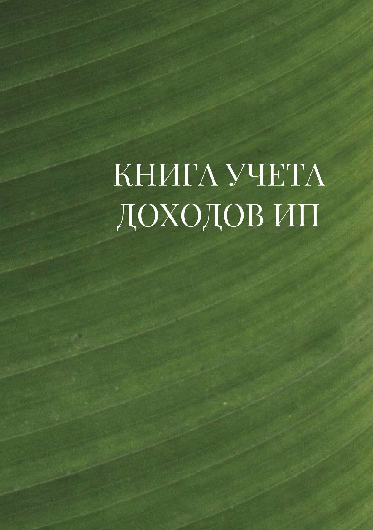 Книга учета доходов для ИП на патенте