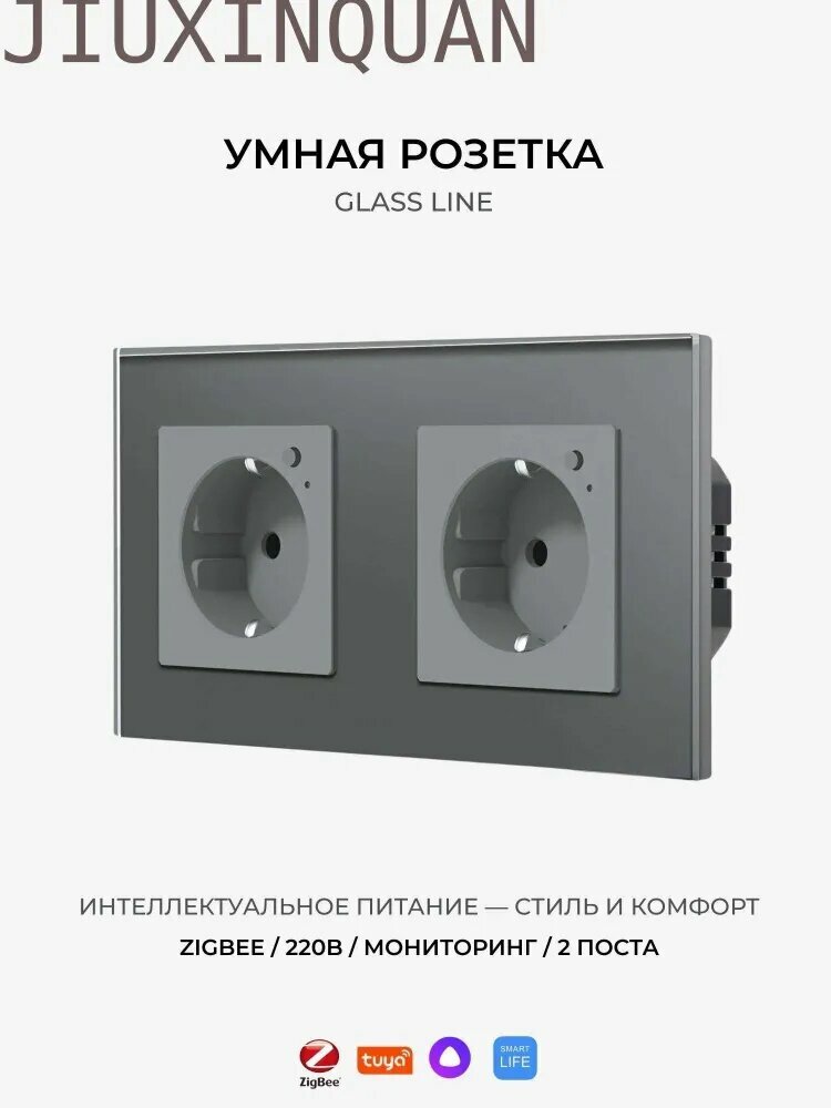 Умная розетка Zigbee встраиваемая, серая, 2 поста, с мониторингом