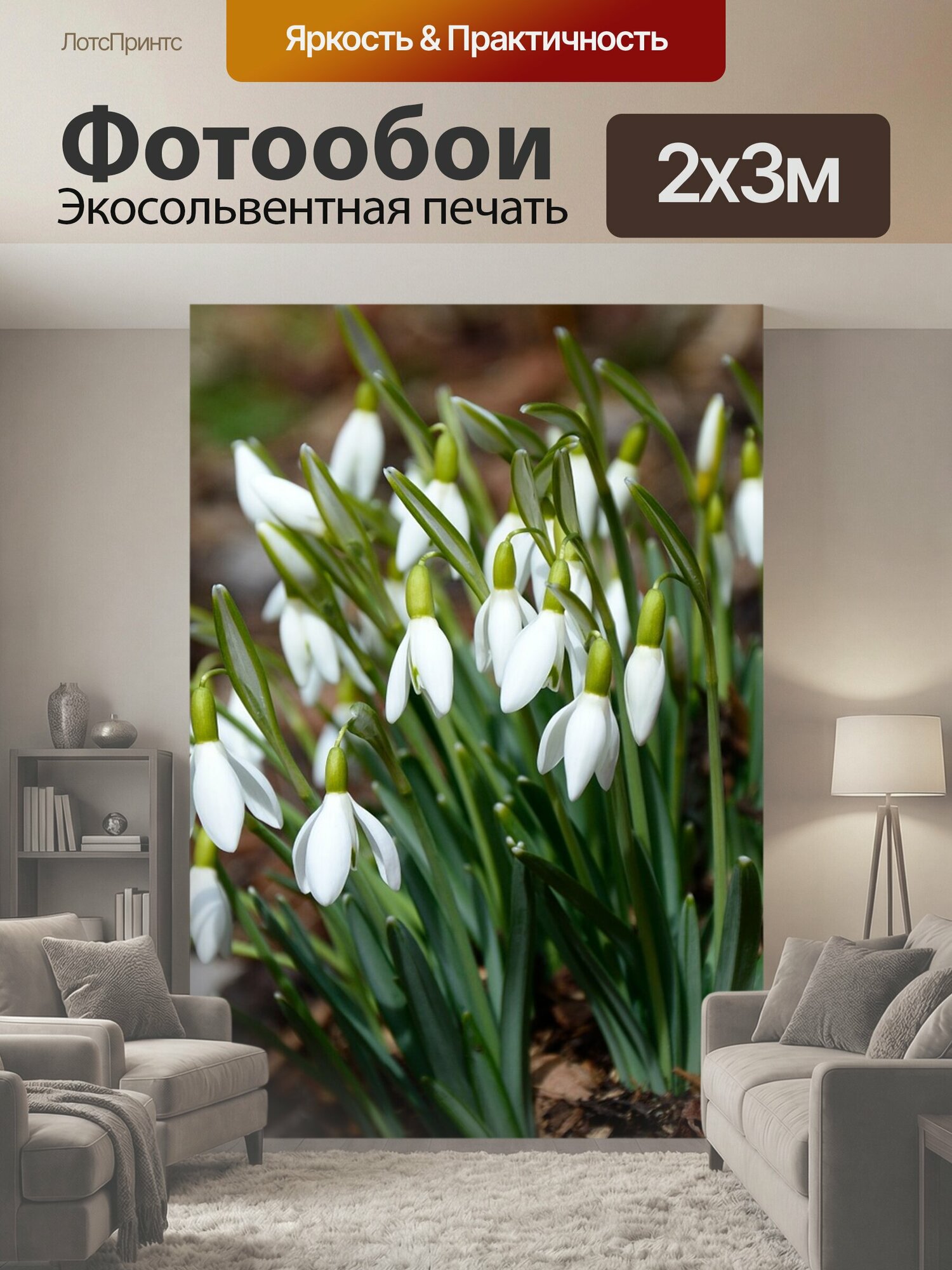Фотообои "Подснежник, пробуждение весны, весенние цветы" 200x300 см. экосольвентная печать