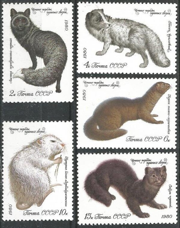 Почтовые марки СССР 1980г. "Ценные породы пушных зверей" Животные, Фауна MNH