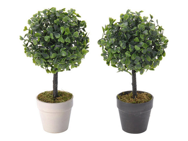 BRAND Искусственное растение Самшит в горшке 23 см, цвет в ассортименте, 1 шт