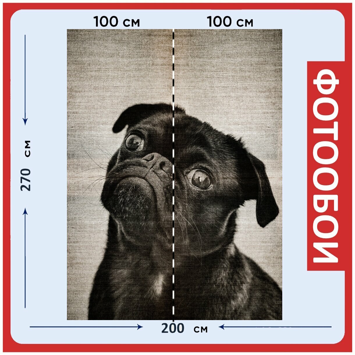 Фотообои "Мопс, собака, щенок" 200x270 см. флизелиновыена стену