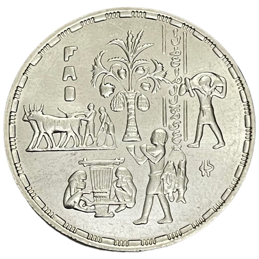 Египет 5 фунтов 1995 г. (AH 1415) (50 лет ФАО)