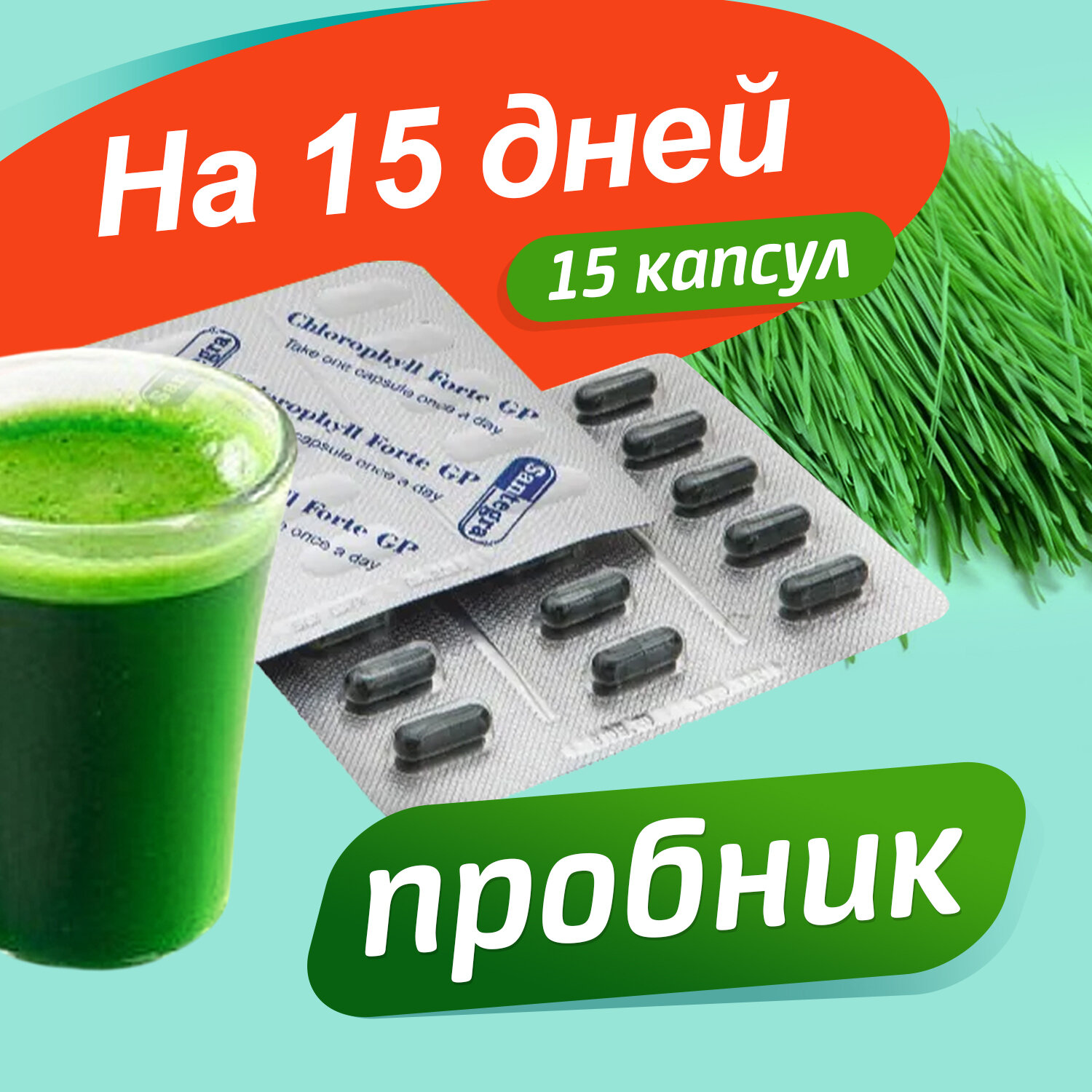 Хлорофилл Santegra , улучшает пищеварение , очищает кожу , укрепит иммунитет , жидкий хлорофилл в капсулах , 50 мг, 15 капсул , Сантегра