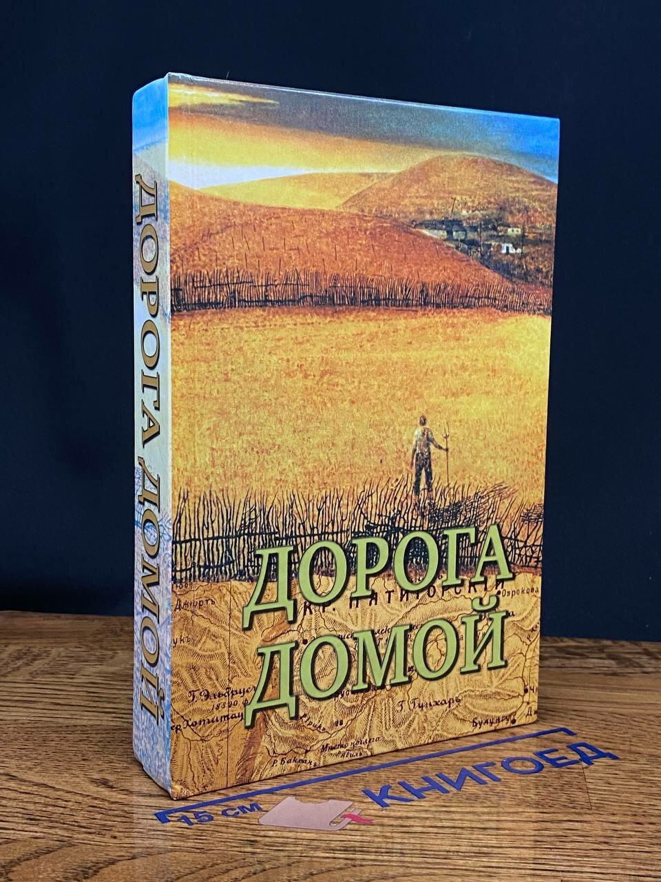 Книга. Дорога домой 2011 (2041246277359)