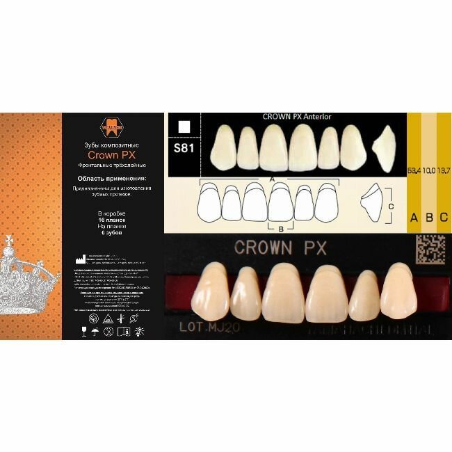 Зубы композитные трёхслойные, вариант исполнения: PX, CROWN Anterior (фронтальные верхние), фасон S81, цвет C1,6 шт. на планке.