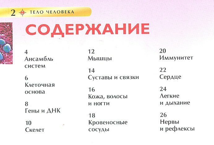 Тело человека — фото 1